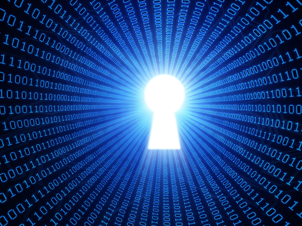 6 cyber security plan basics for a small business